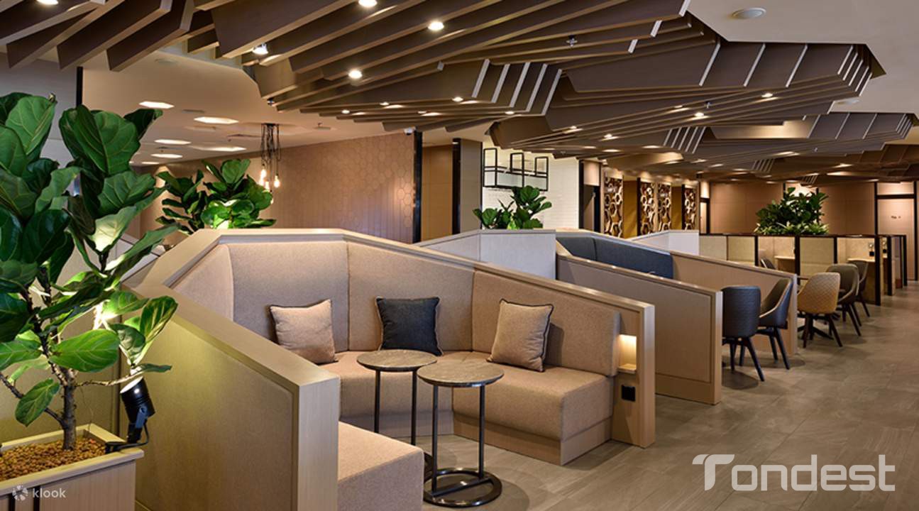 Changi Airport International Lounge – Premium Comfort & Exclusive ...